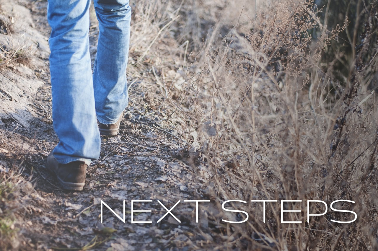 NEXT STEPS